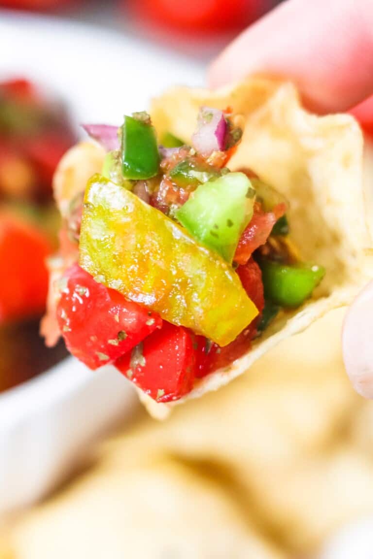 Chunky Garden Fresh Salsa with Fresh Tomatoes - Kim Schob