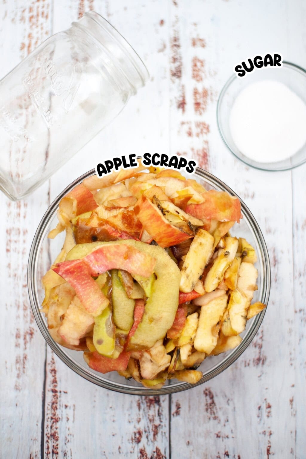 Homemade Apple Cider Vinegar Recipe from Apple Scraps - Kim Schob