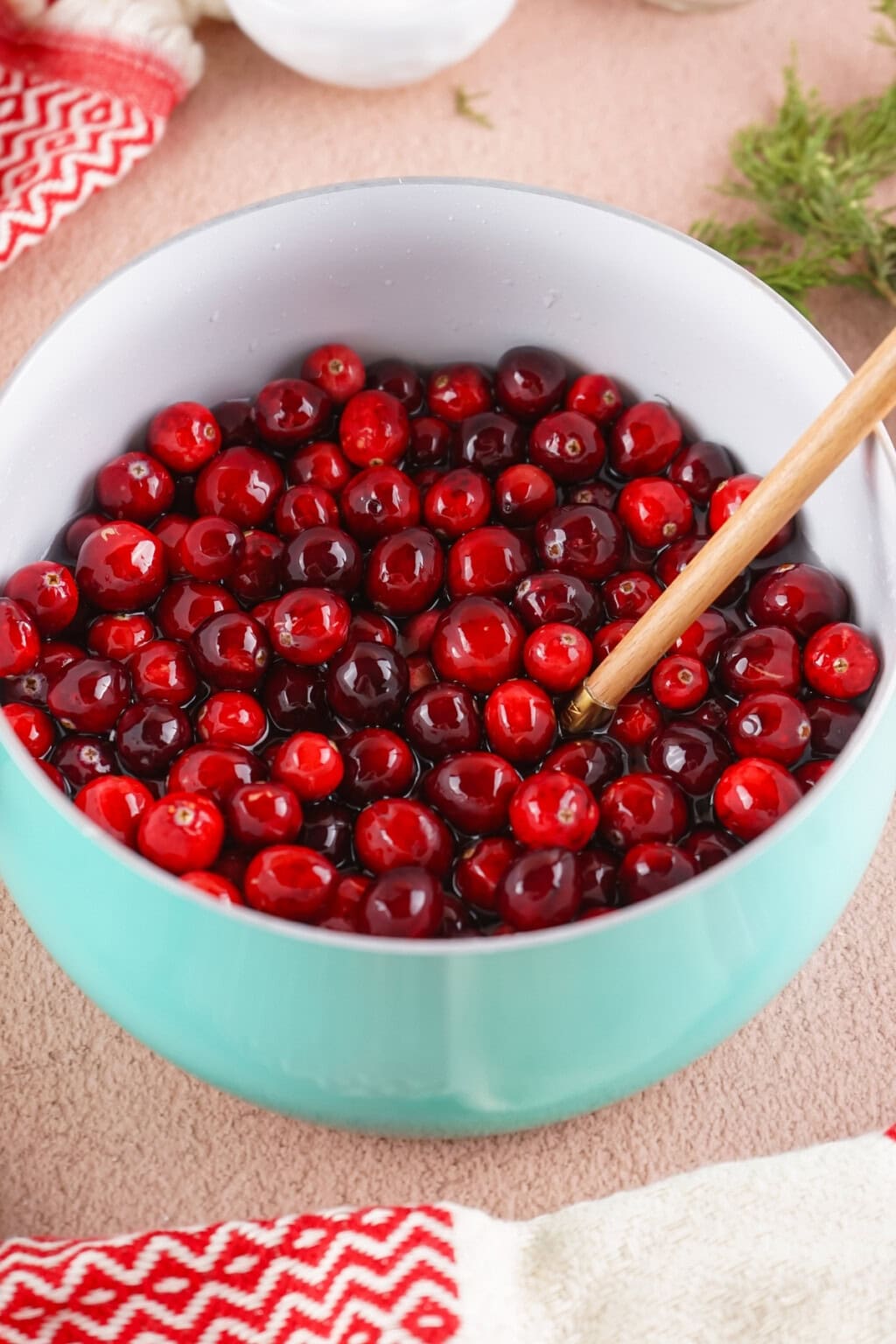 Easy Recipe For Sugared Cranberries - Kim Schob