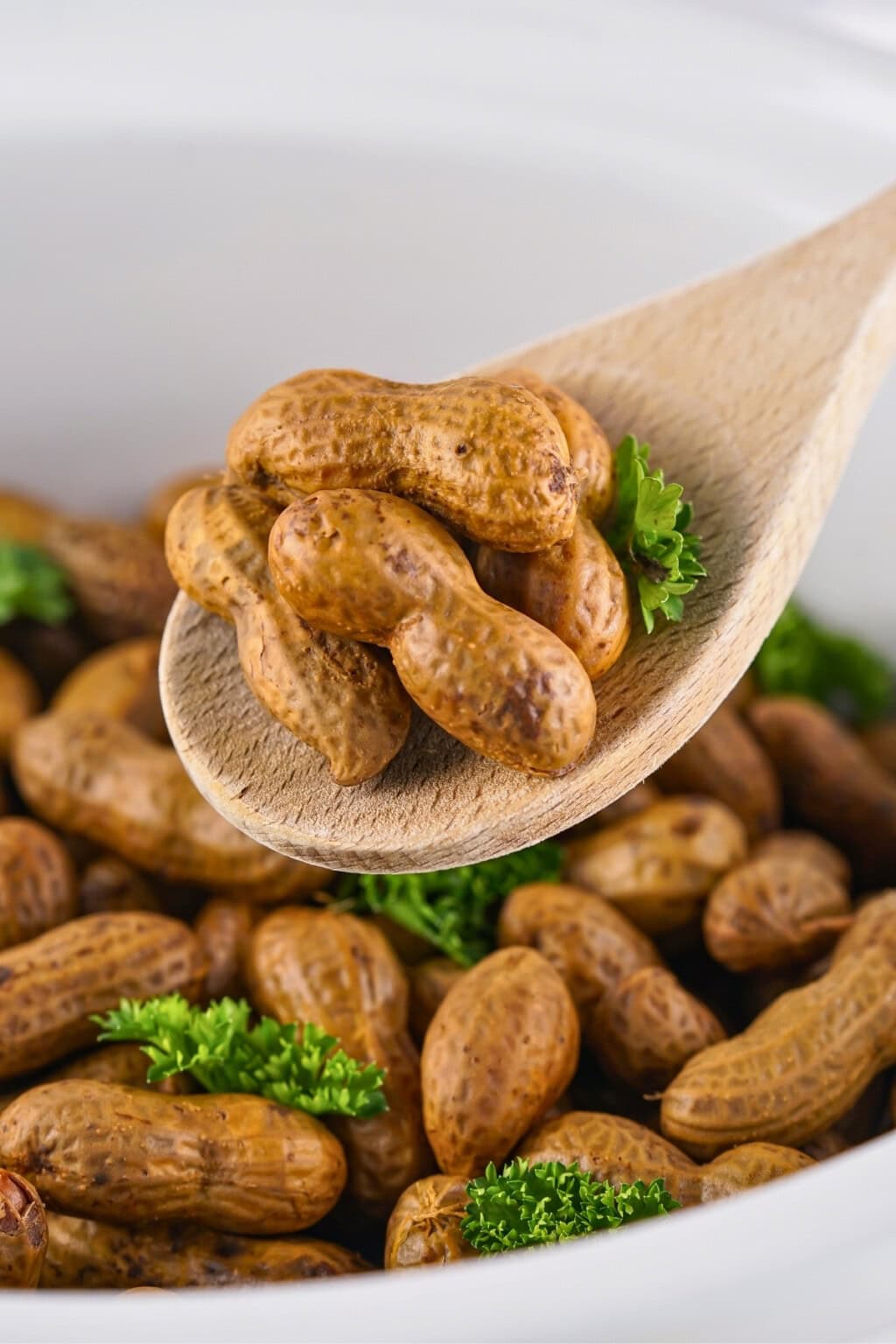 Crockpot Boiled Peanuts Recipe (Easy Southern Snack) - Kim Schob