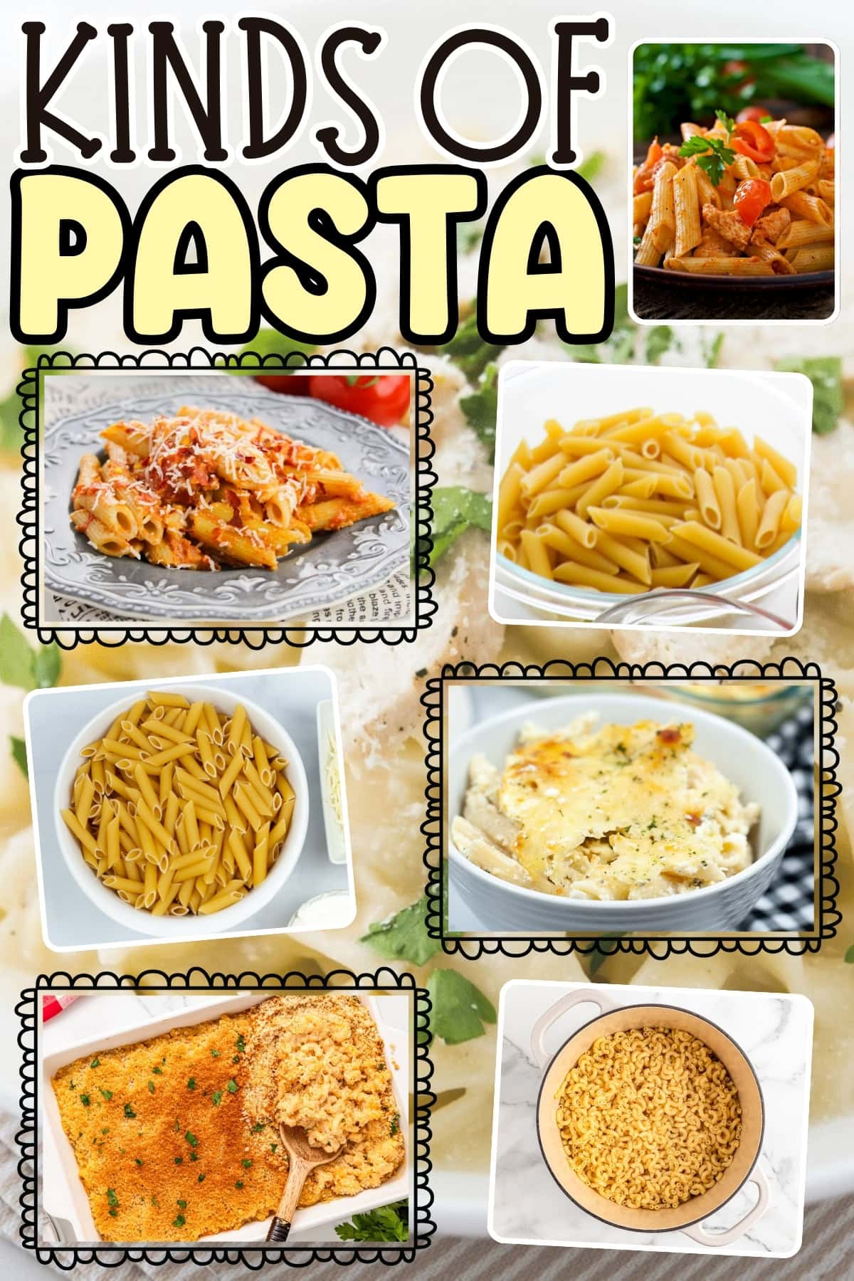 Types of Pasta: 25 Pasta Shapes with Pictures and Best Uses - Kim Schob