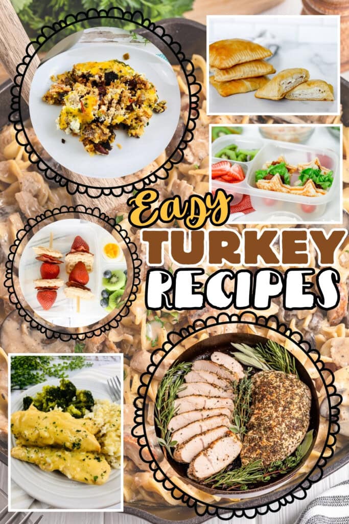 Easy Turkey Recipes: 10 Quick Ideas for Dinner & Leftovers - Kim Schob